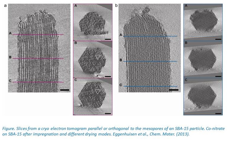 Liquid-phase TEM and cryo-TEM of fundamentals of catalyst assembly ...