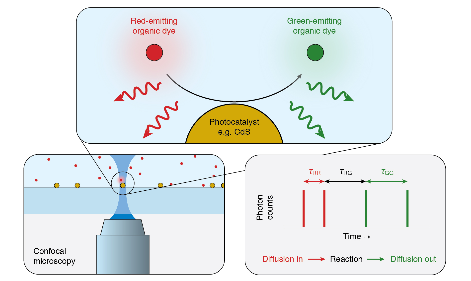 Studying single catalytic conversion events using fluorescence ...